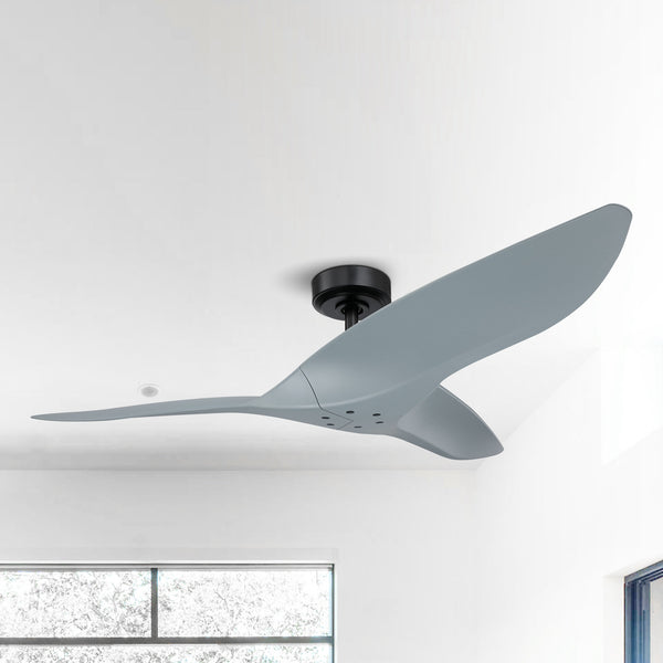 Punjab Navy Blue Ceiling Fan 52" | Perimost